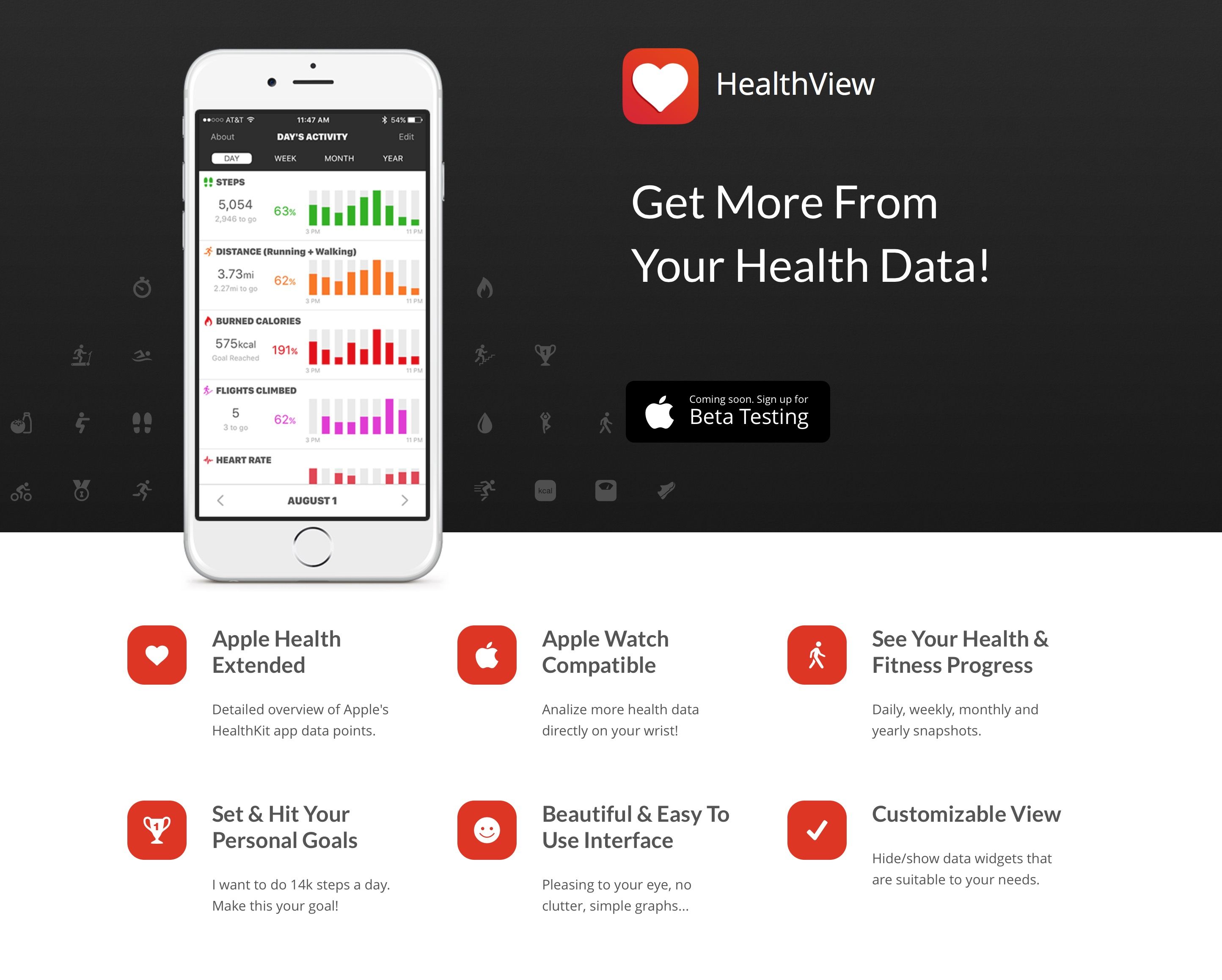 HealthView: Simplified dashboard for Apple Health data | BetaList
