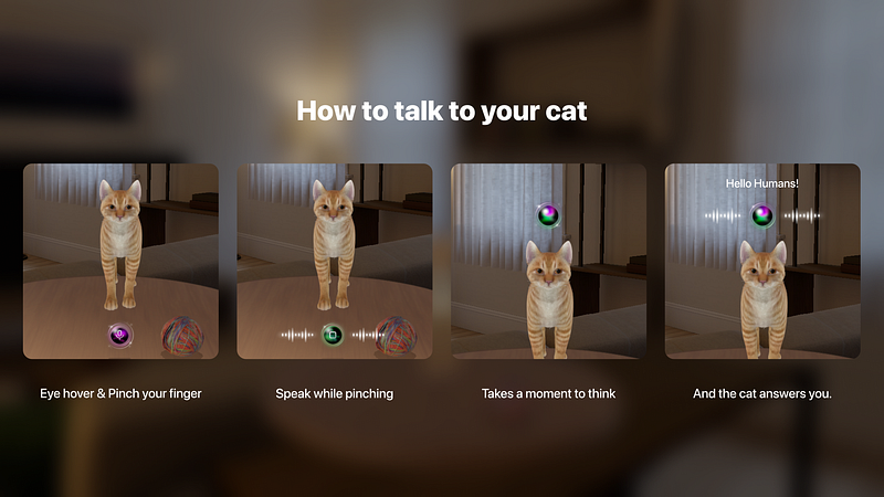 Catting : Meet Talking Cat | Vision Directory