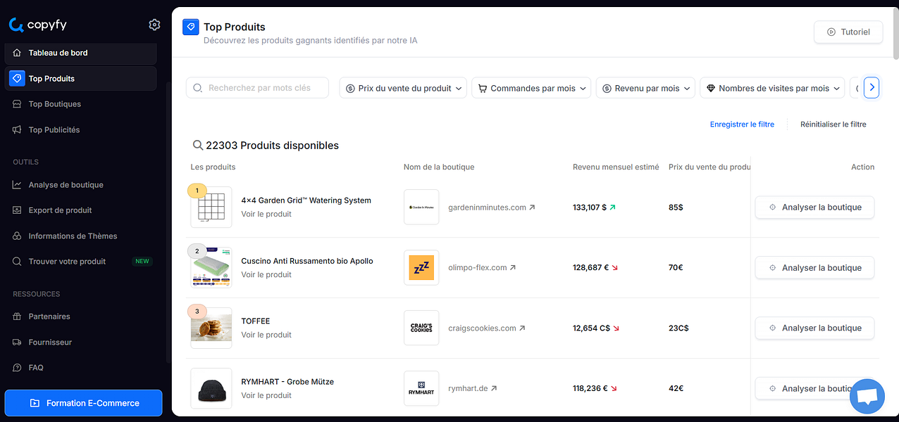 Copyfy: Launch your e-commerce business with AI in just a | BetaList
