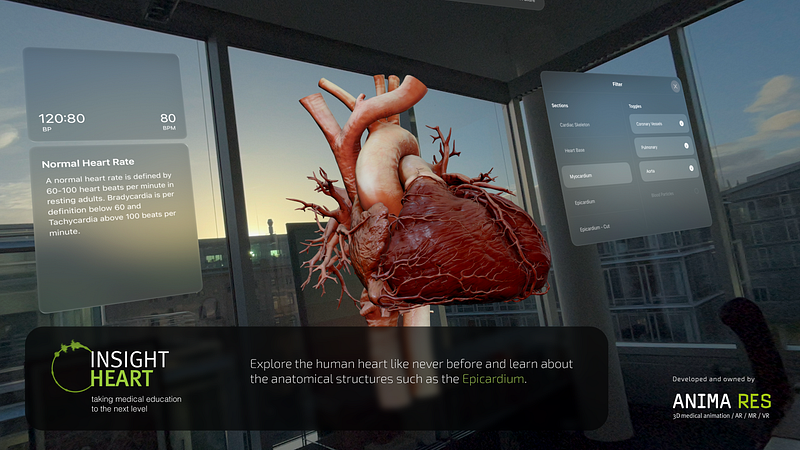 INSIGHT HEART | Vision Directory