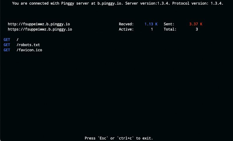 Pinggy: Public URLs for localhost without downloading any | BetaList
