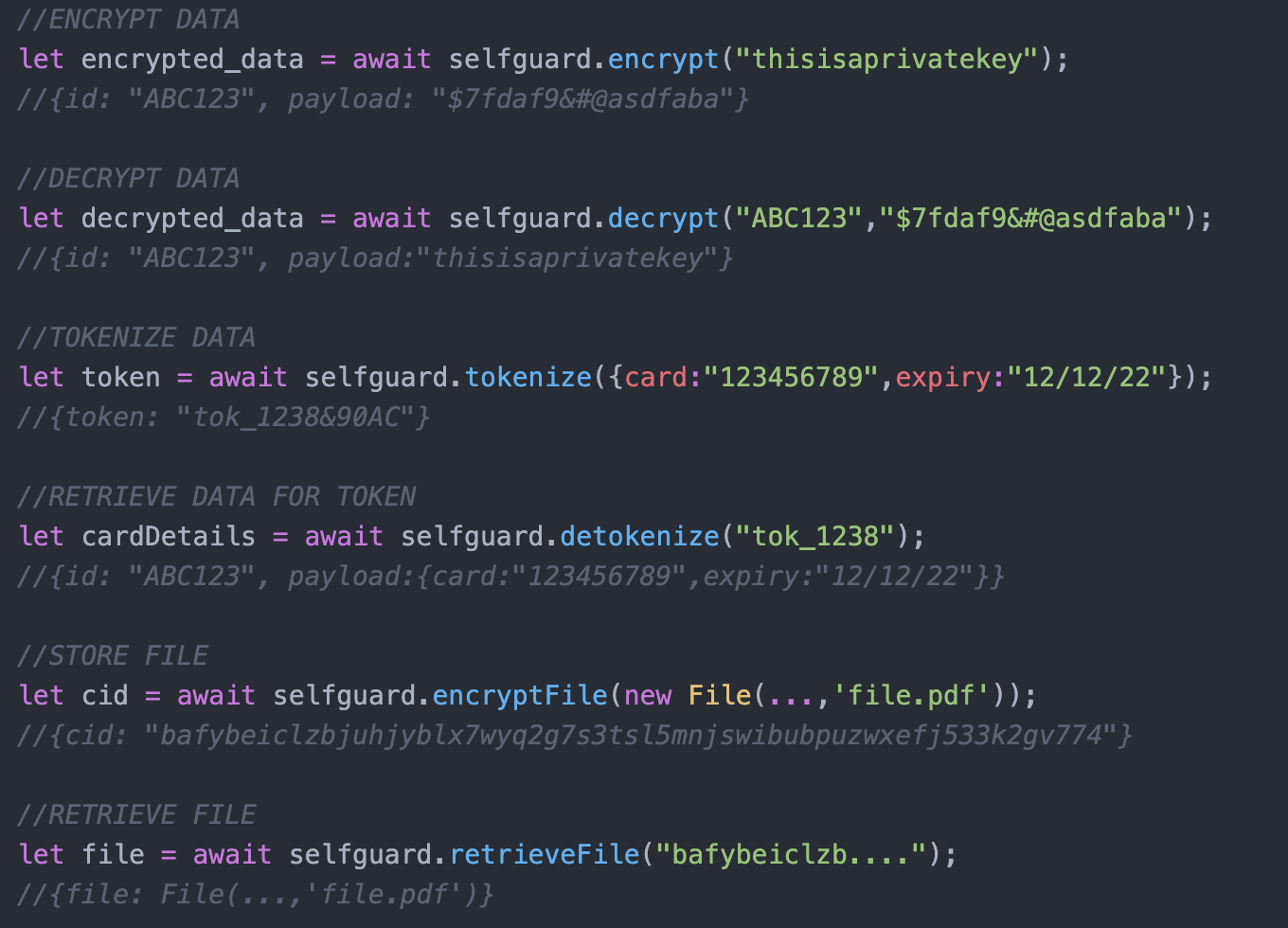 SelfGuard: Universal API For Encryption | BetaList