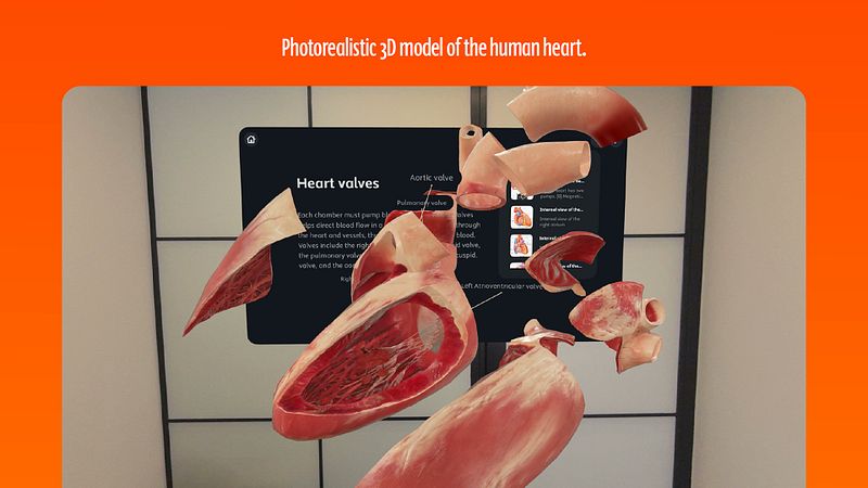 Complete HeartX | Vision Directory